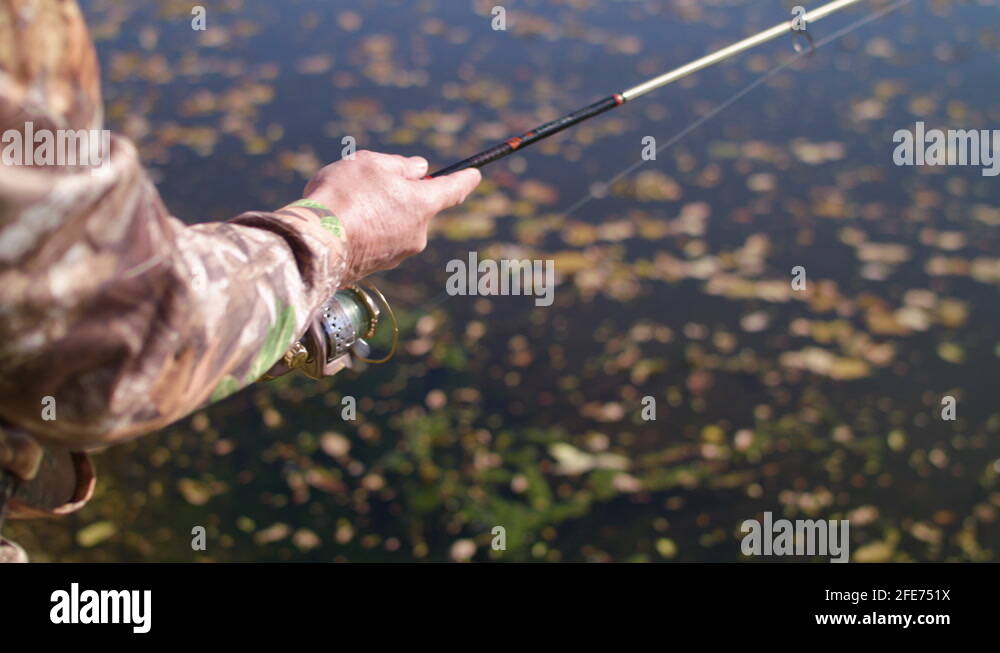Come in spinner Stock Videos & Footage - HD and 4K Video Clips - Alamy