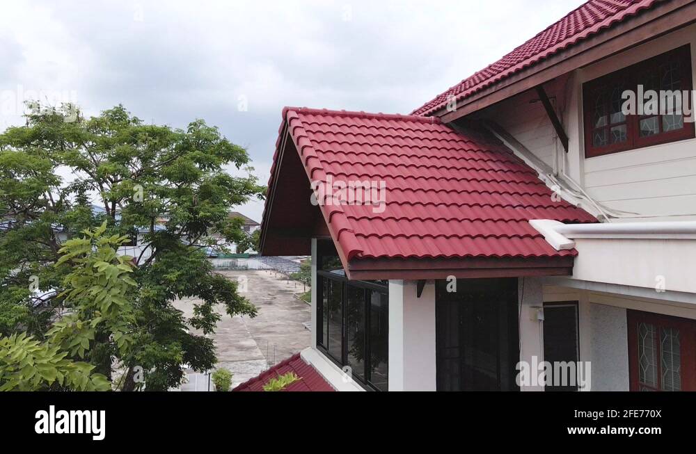 Construct family tree Stock Videos & Footage - HD and 4K Video Clips ...