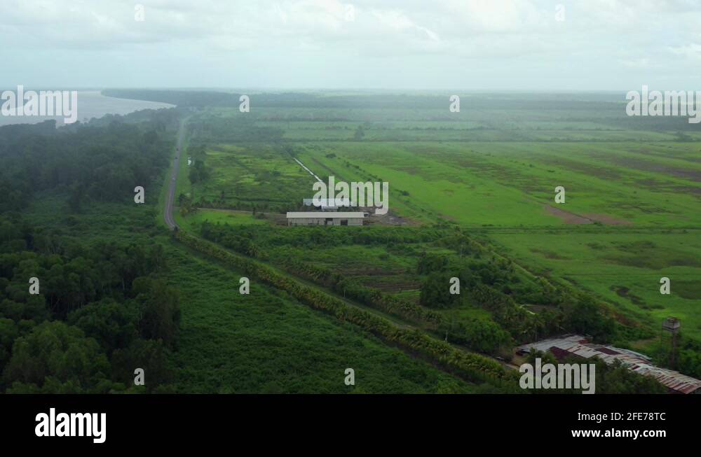 Habitat loss deforestation Stock Videos & Footage - HD and 4K Video ...