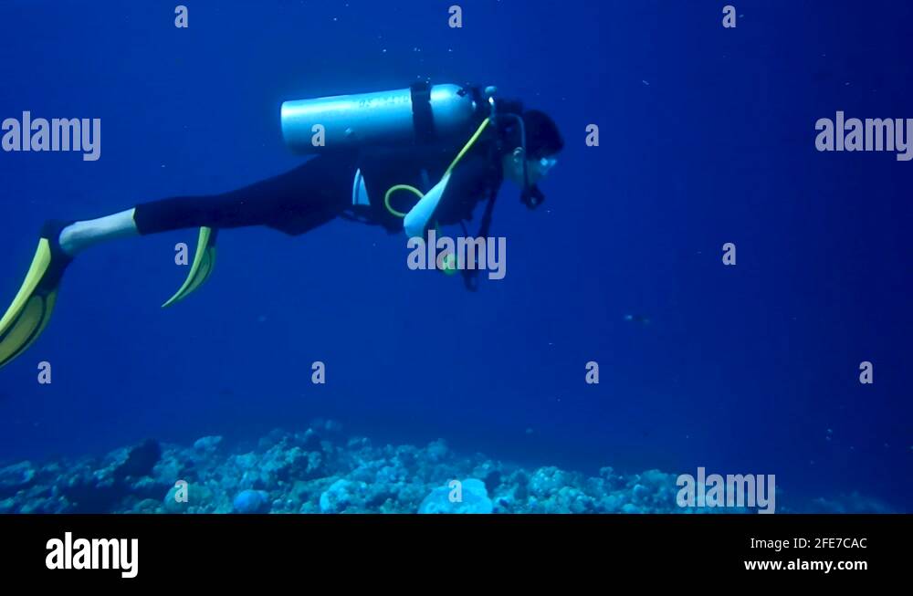Scuba Diver Swimming Above The Coral Reefs And Enjoying The Underwater ...