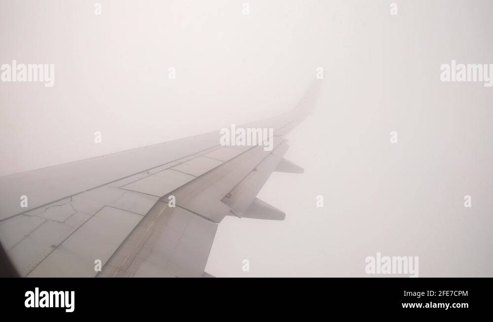 Angle wing Stock Videos & Footage - HD and 4K Video Clips - Alamy