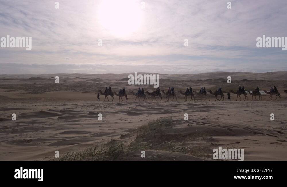 Caravan convoy Stock Videos & Footage - HD and 4K Video Clips - Alamy