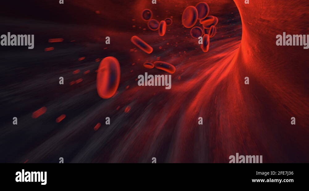 Humen Stock Videos & Footage - HD and 4K Video Clips - Alamy