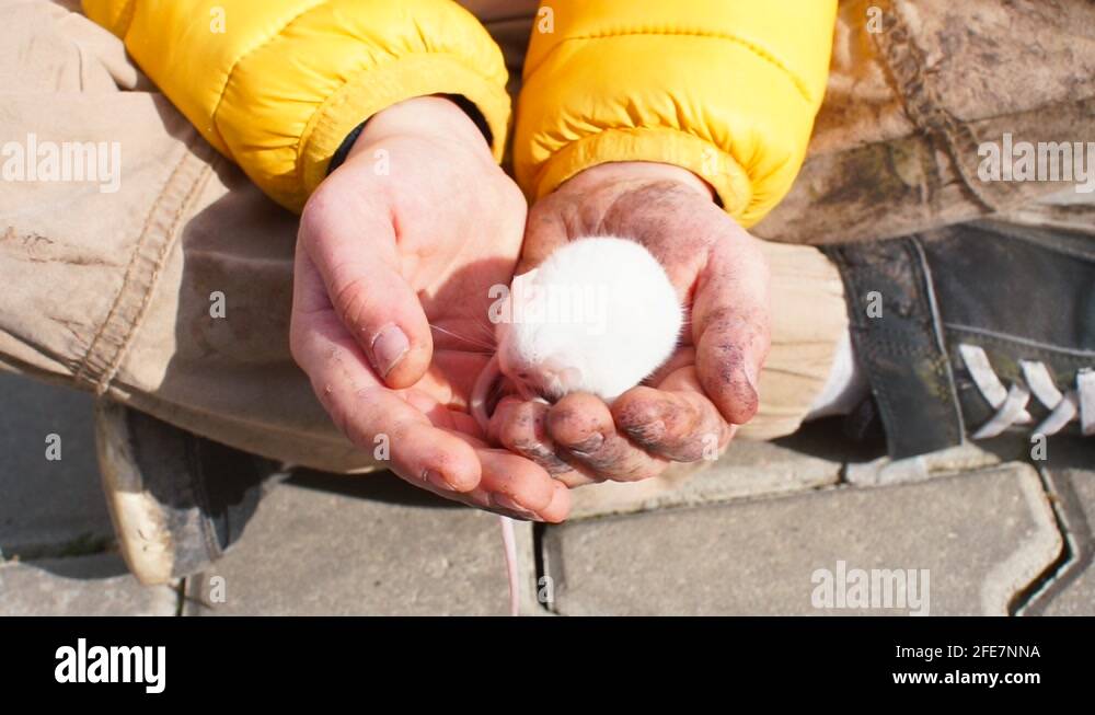 Children hug animals Stock Videos & Footage - HD and 4K Video Clips - Alamy