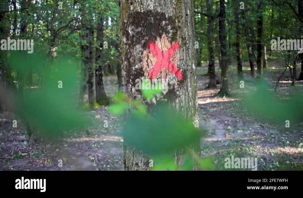 Red x symbol Stock Videos & Footage - HD and 4K Video Clips - Alamy