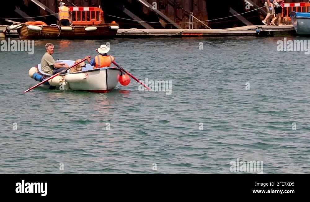 Rowing boat with dog Stock Videos & Footage - HD and 4K Video Clips - Alamy