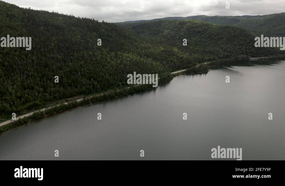 Calm forest and road Stock Videos & Footage - HD and 4K Video Clips - Alamy