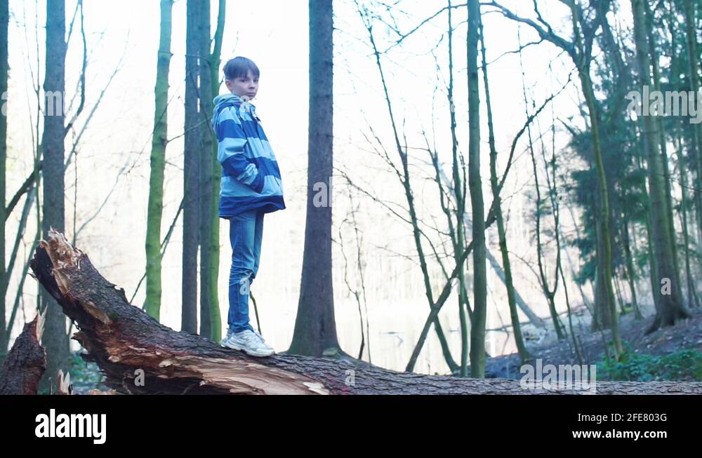 Isolation of forest Stock Videos & Footage - HD and 4K Video Clips - Alamy