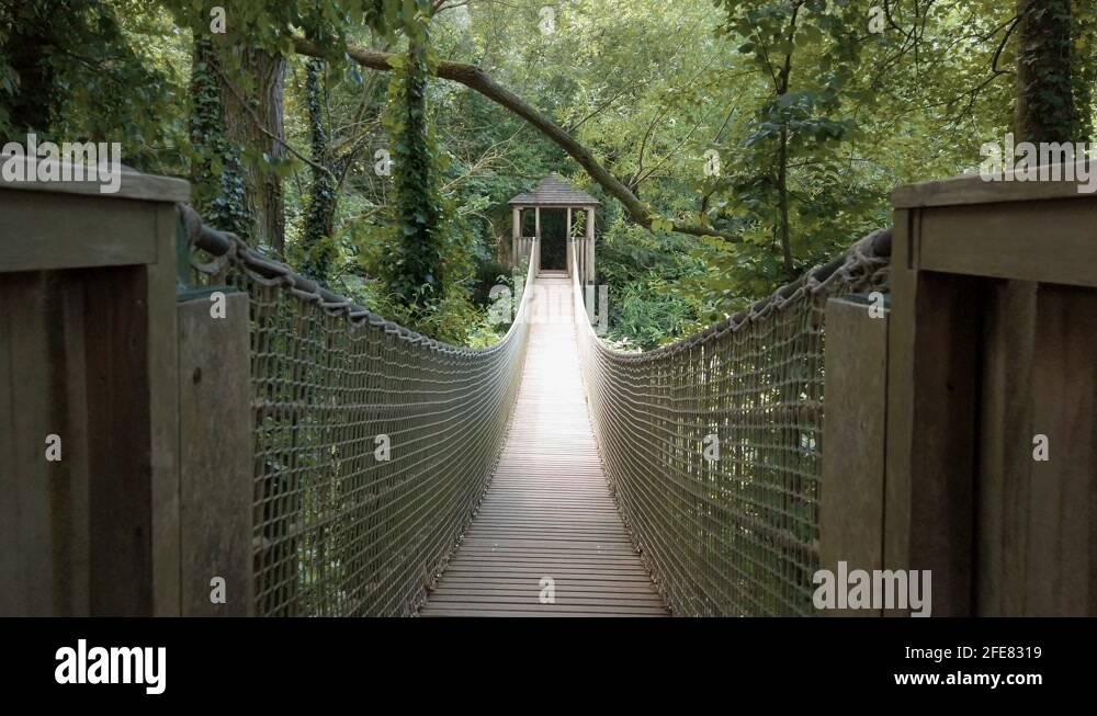 Jungle rope bridge Stock Videos & Footage - HD and 4K Video Clips - Alamy