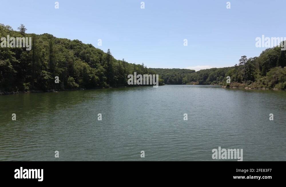 Trees and lac Stock Videos & Footage - HD and 4K Video Clips - Alamy