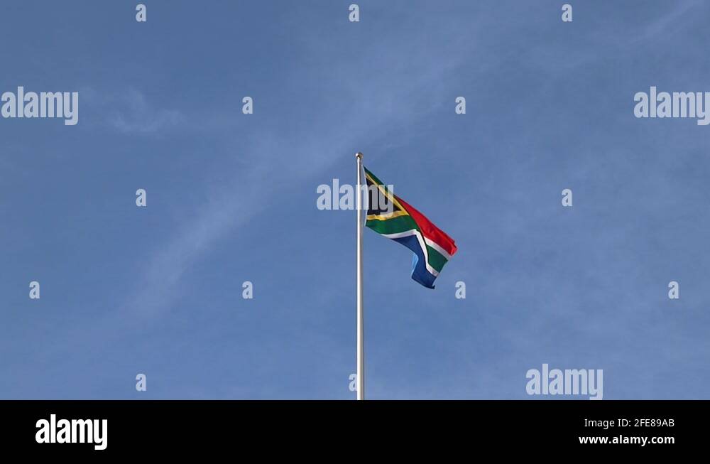 National symbol of south africa Stock Videos & Footage - HD and 4K ...