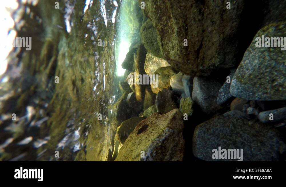 Alaska river rocks Stock Videos & Footage - HD and 4K Video Clips - Alamy