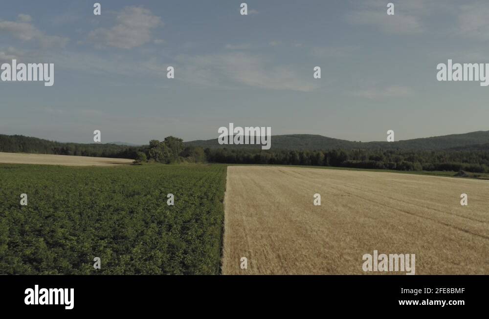 Wide borders Stock Videos & Footage - HD and 4K Video Clips - Alamy