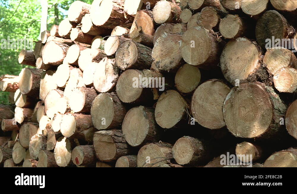 Wood texture old oak logs Stock Videos & Footage - HD and 4K Video ...