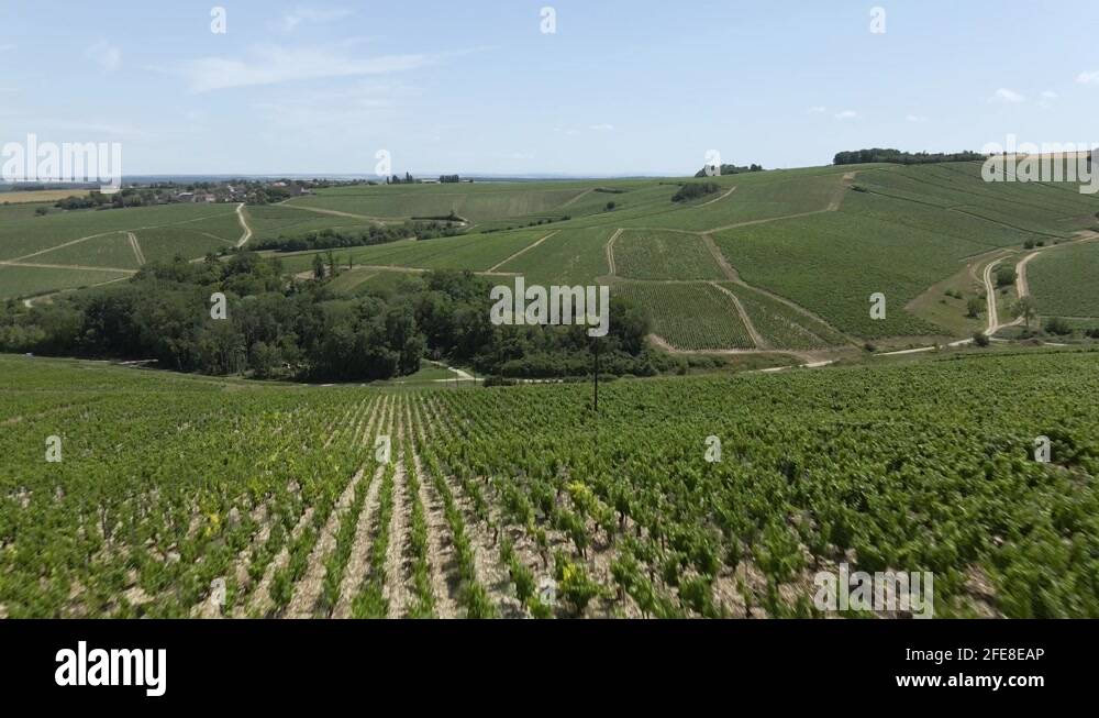 Chablis france vineyard Stock Videos & Footage - HD and 4K Video Clips ...