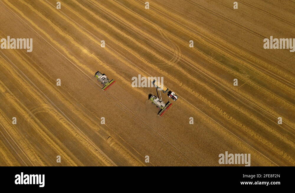 Large scale farming Stock Videos & Footage - HD and 4K Video Clips - Alamy