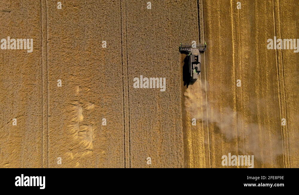 Barley farming Stock Videos & Footage - HD and 4K Video Clips - Alamy