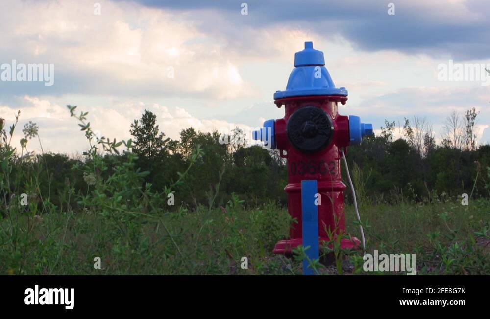 Red and blue fire hydrant Stock Videos & Footage - HD and 4K Video ...