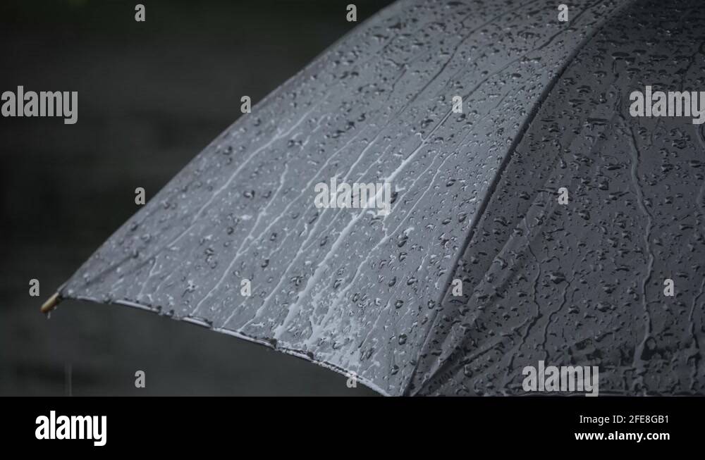 Wet rain umbrella Stock Videos & Footage - HD and 4K Video Clips - Alamy