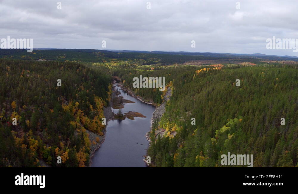Escarpment trees Stock Videos & Footage - HD and 4K Video Clips - Alamy