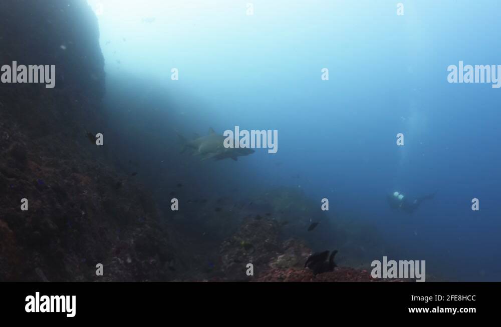 Underwater deep photograph Stock Videos & Footage - HD and 4K Video ...