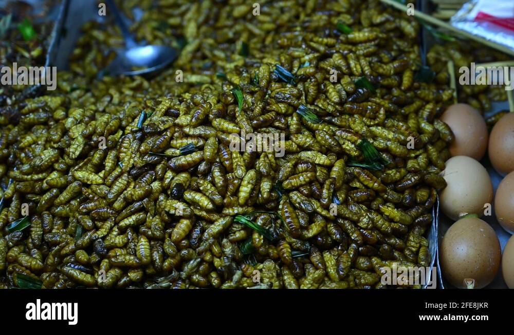 Deep-fried Silkworm Pupae, Tua Mai Tod, Street Food in Thailand ...