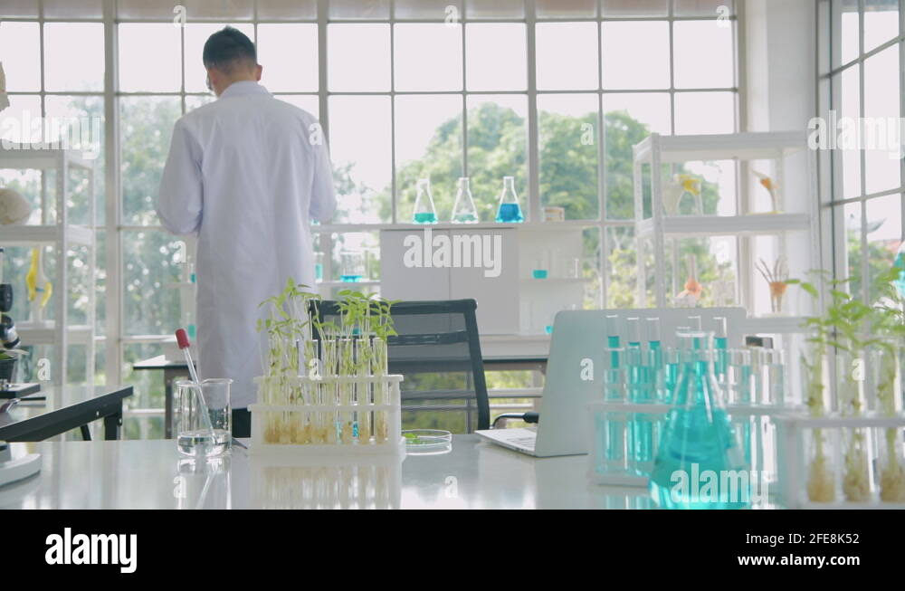 Data collecting asia Stock Videos & Footage - HD and 4K Video Clips - Alamy