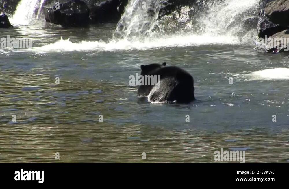 Ketchikan fishing Stock Videos & Footage - HD and 4K Video Clips - Alamy