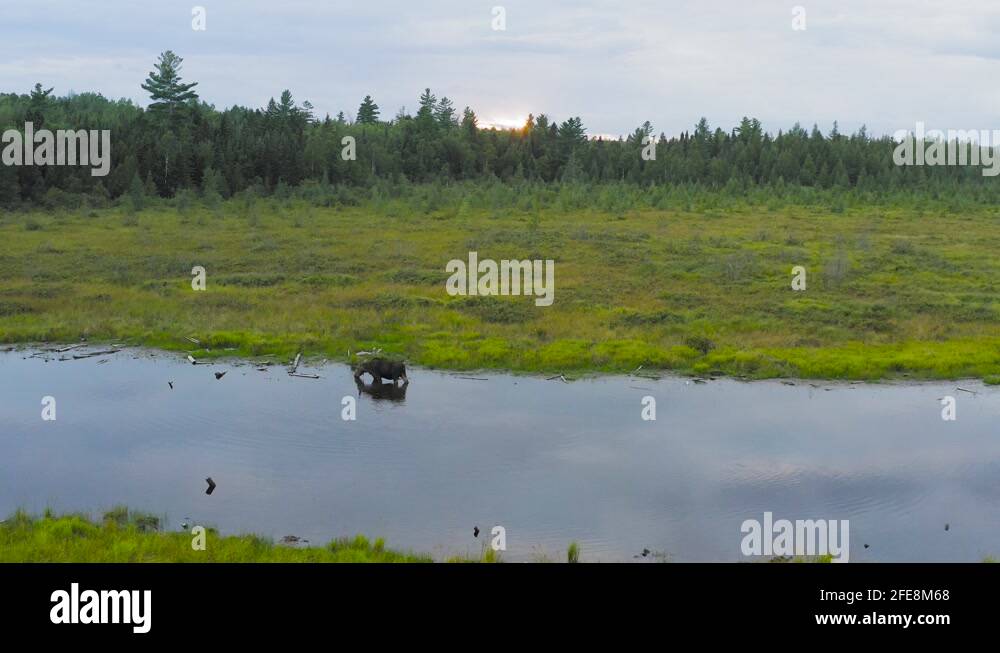 Marsh sunset landscape Stock Videos & Footage - HD and 4K Video Clips ...