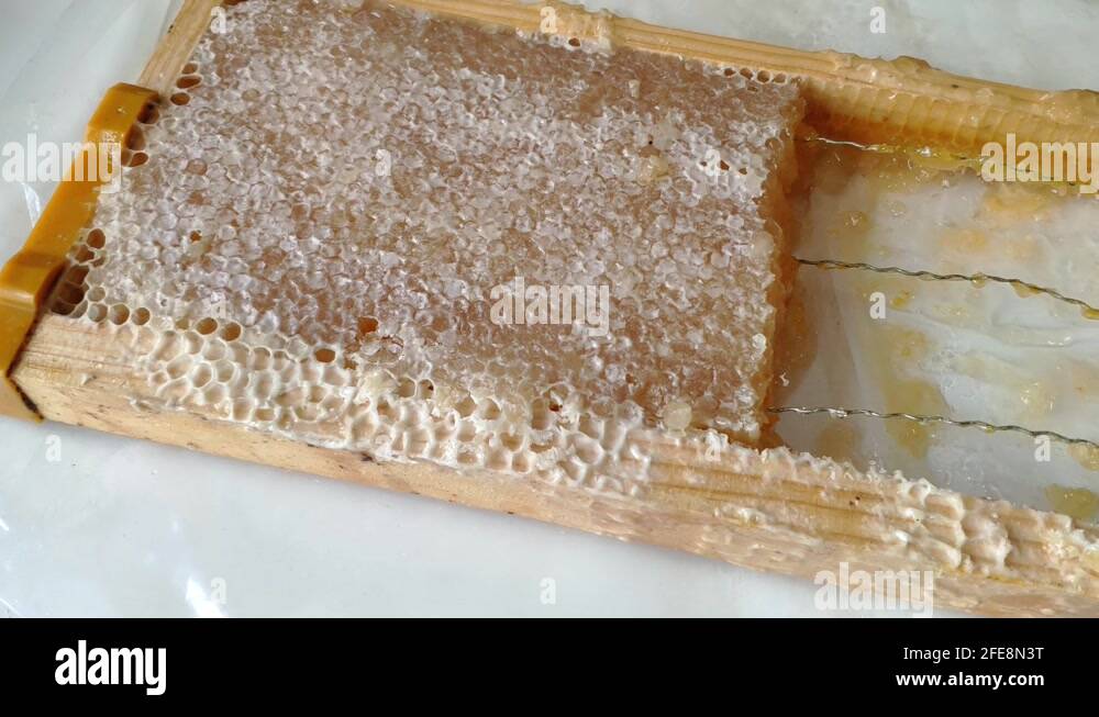 Comb frame Stock Videos & Footage - HD and 4K Video Clips - Alamy