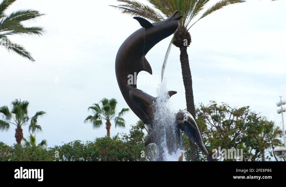 Dolphin roundabout Stock Videos & Footage - HD and 4K Video Clips - Alamy