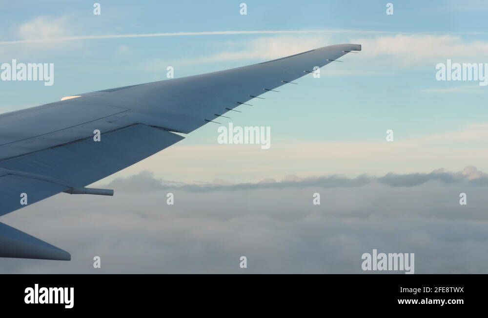 Jetwing Stock Videos & Footage - HD and 4K Video Clips - Alamy