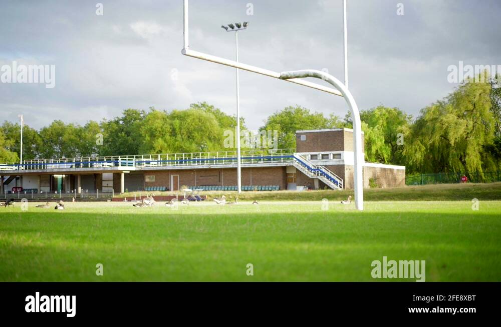 Empty rugby and football pitch in an abandoned small stadium invaded by ...