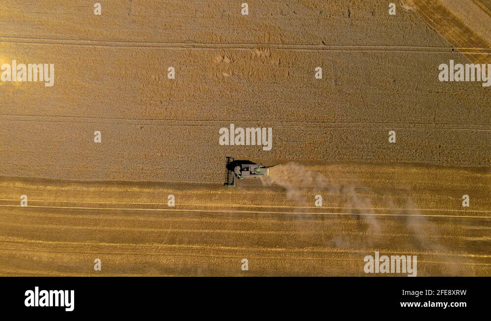 Overhead camera angle Stock Videos & Footage - HD and 4K Video Clips ...