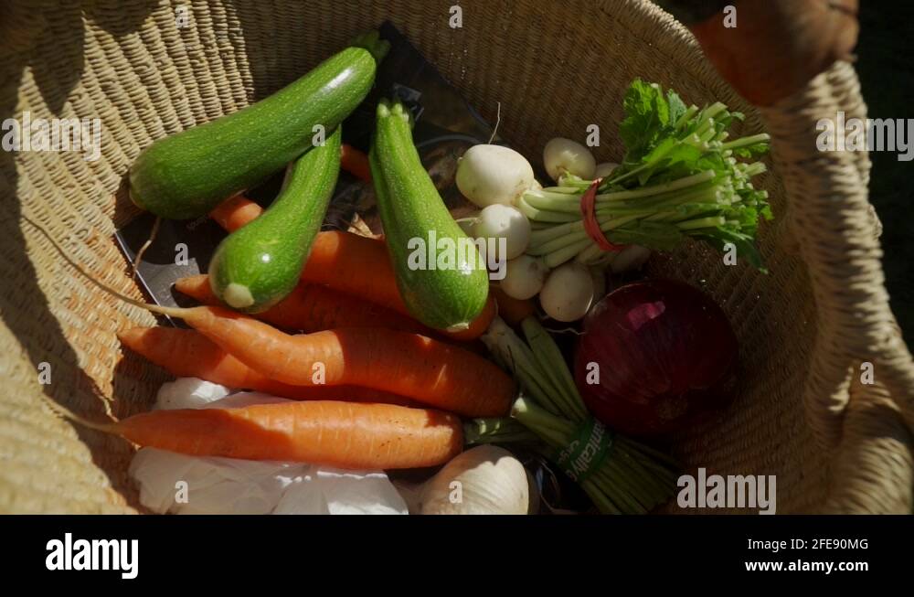 Vegetable island Stock Videos & Footage - HD and 4K Video Clips - Alamy