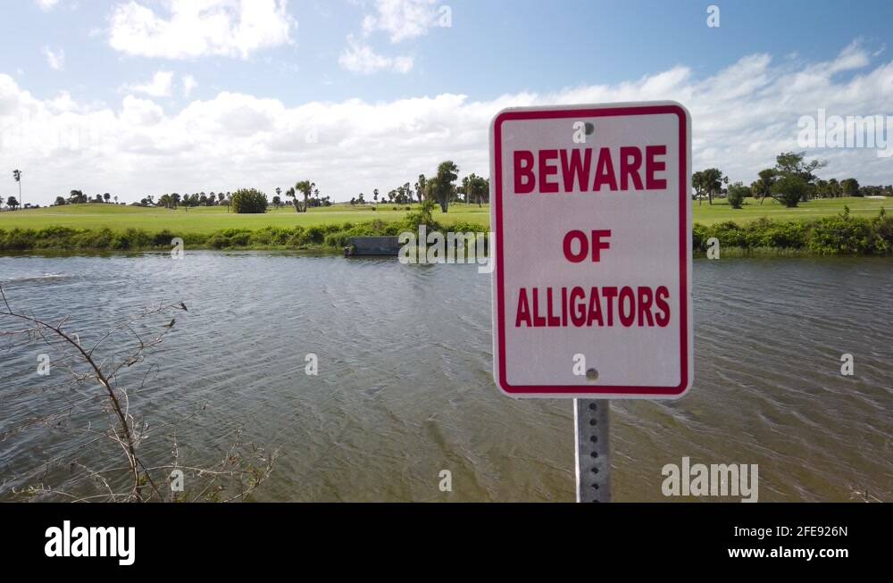 Beware of Alligators Sign by Rippling Pond with Copy Space, Static ...