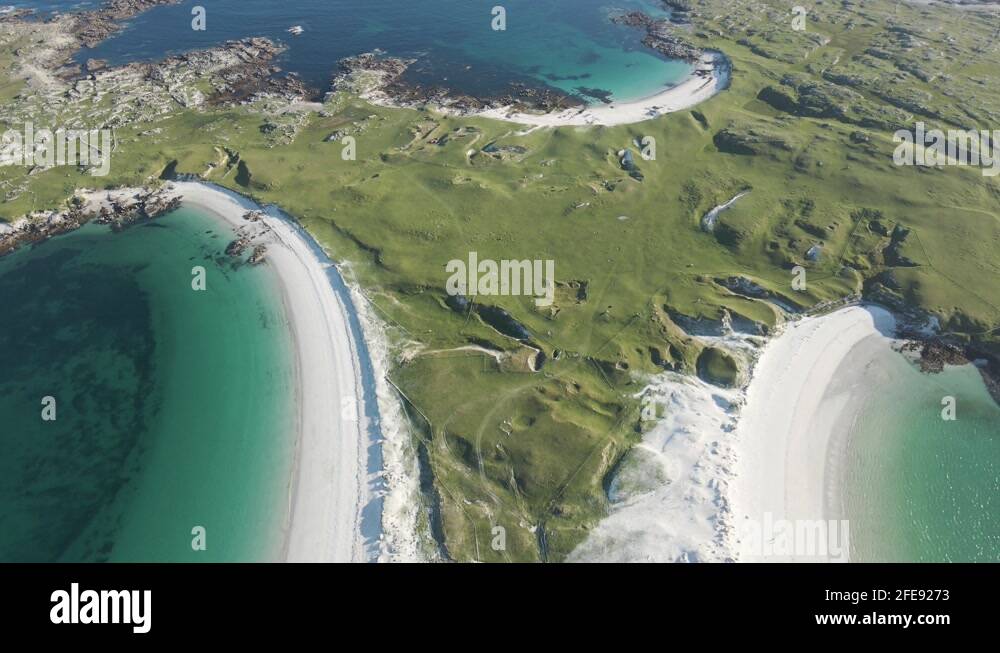 Island of dogs Stock Videos & Footage - HD and 4K Video Clips - Alamy