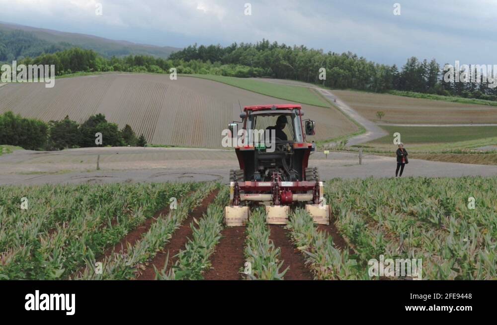 Farm land field village Stock Videos & Footage - HD and 4K Video Clips ...