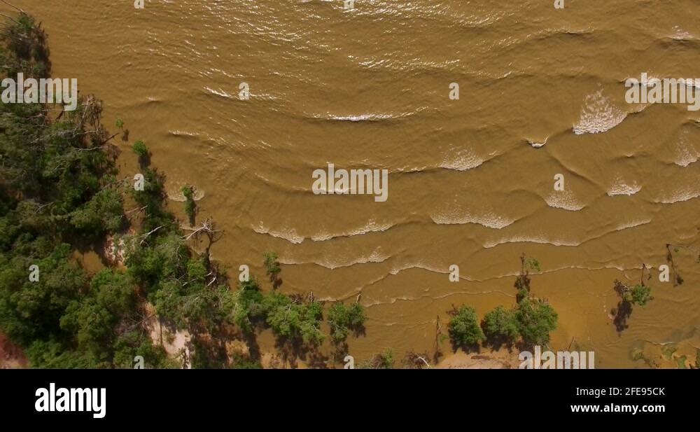Amazon river delta Stock Videos & Footage - HD and 4K Video Clips - Alamy