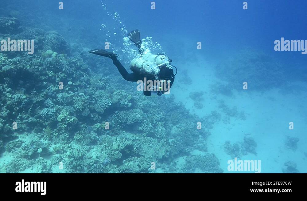 Twin tanks Stock Videos & Footage - HD and 4K Video Clips - Alamy