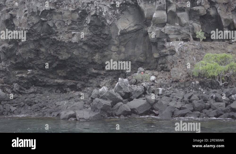 Standing up rocks Stock Videos & Footage - HD and 4K Video Clips - Alamy