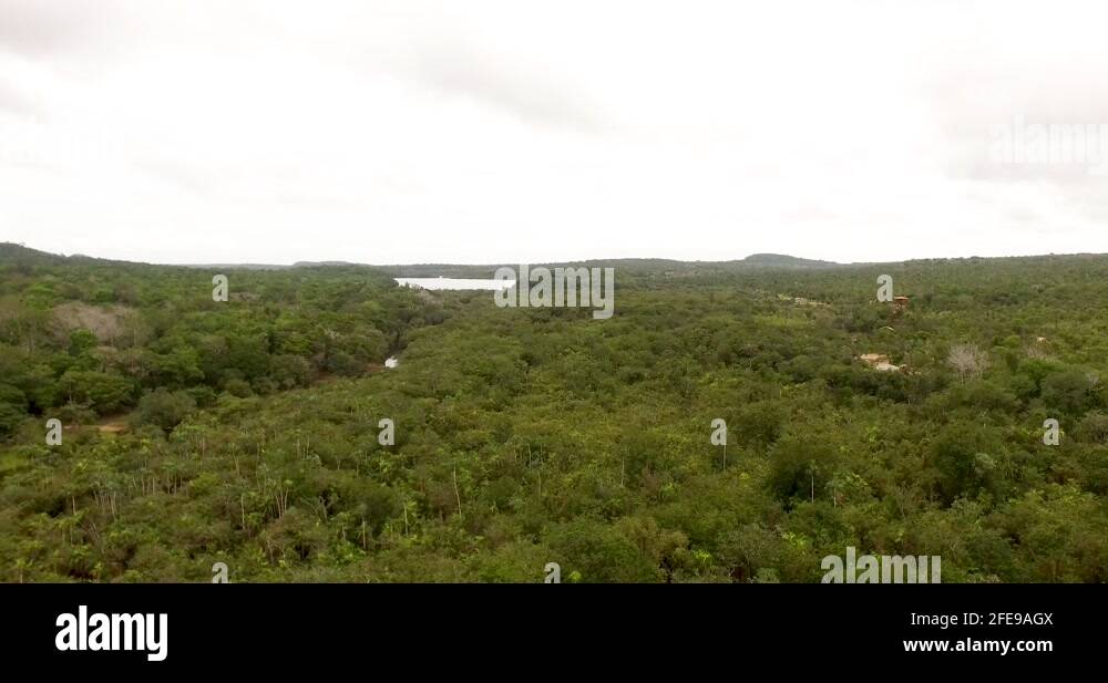 Flying above a river and small flooded area of the Amazon rainforest ...