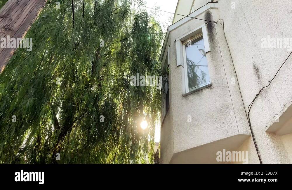 Architectural detail bay window in Stock Videos & Footage - HD and 4K ...