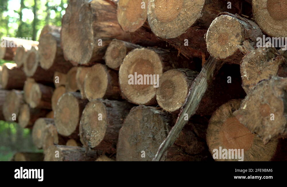 Wood construction cut out Stock Videos & Footage - HD and 4K Video ...