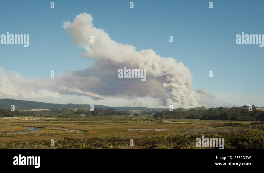 August complex fire Stock Videos & Footage - HD and 4K Video Clips - Alamy