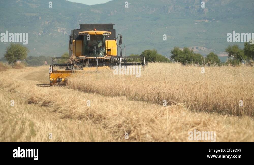 Bad soil Stock Videos & Footage - HD and 4K Video Clips - Alamy