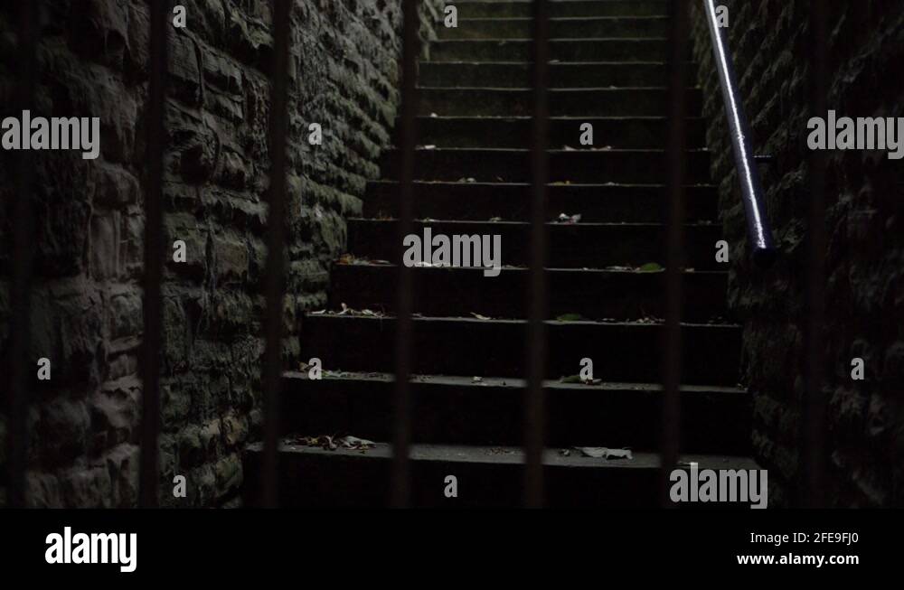 Spooky dark stone steps Stock Videos & Footage - HD and 4K Video Clips ...