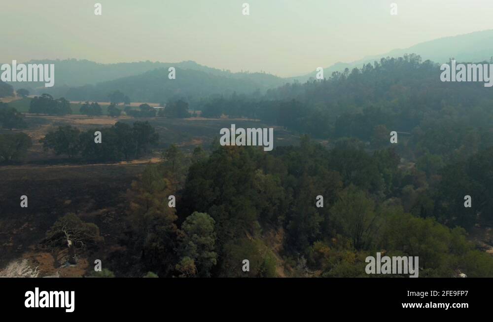 August complex fire Stock Videos & Footage - HD and 4K Video Clips - Alamy