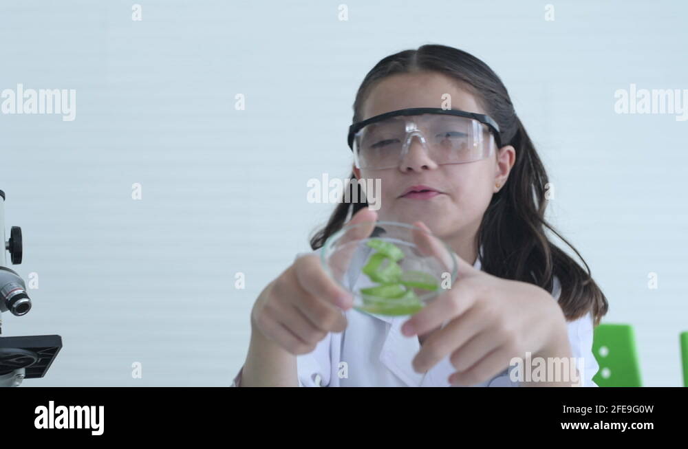 Ca education Stock Videos & Footage - HD and 4K Video Clips - Alamy