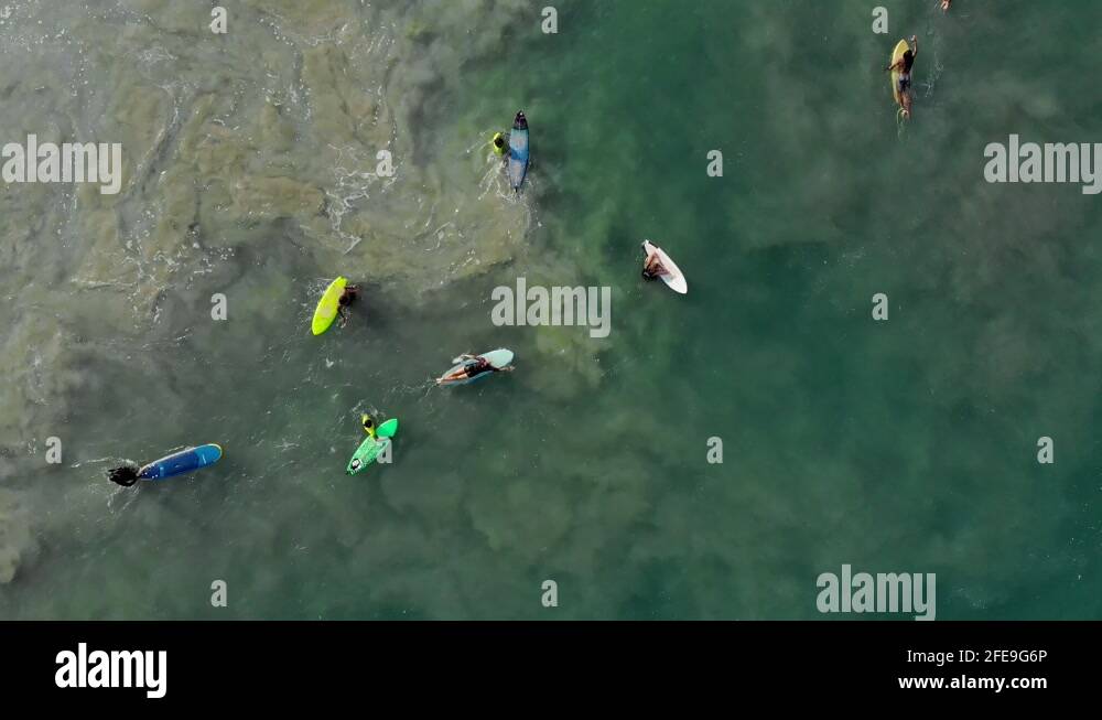 Learning sport Stock Videos & Footage - HD and 4K Video Clips - Alamy